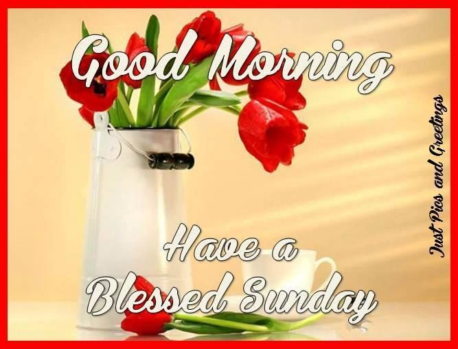Good Morning And Have A Blessed Sunday Pictures, Photos, and Images for ...