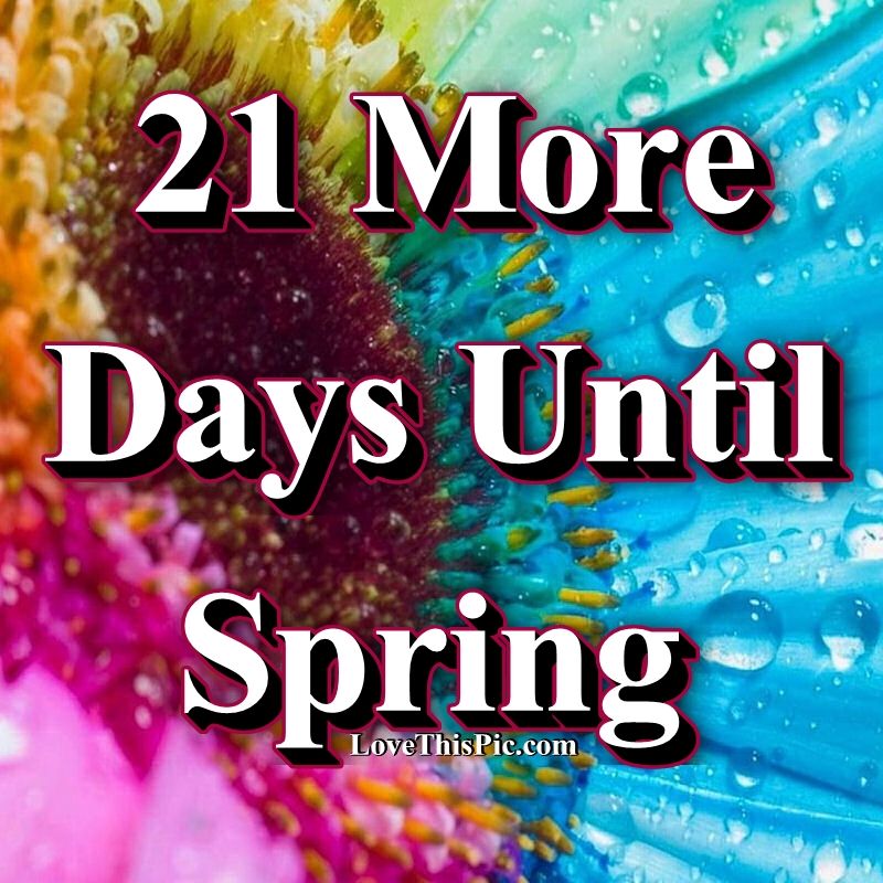 21 More Days Until Spring Pictures, Photos, and Images for Facebook ...