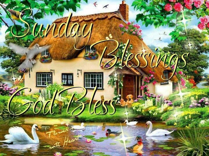 Sunday Blessings, God Bless Pictures, Photos, and Images for Facebook ...