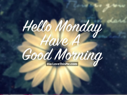Hello Monday, Have A Good Morning Pictures, Photos, and Images for ...