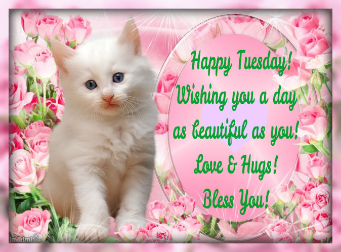 Happy Tuesday Pictures, Photos, and Images for Facebook, Tumblr ...