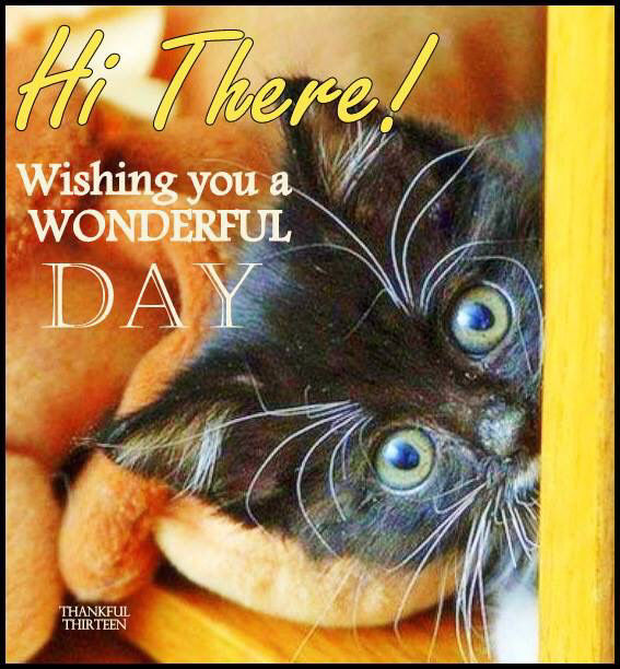 Hi There Wishing You A Wonderful Wednesday Pictures, Photos, and Images ...