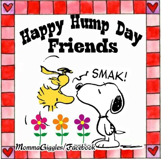 Happy Hump Day Friends Pictures, Photos, and Images for Facebook ...