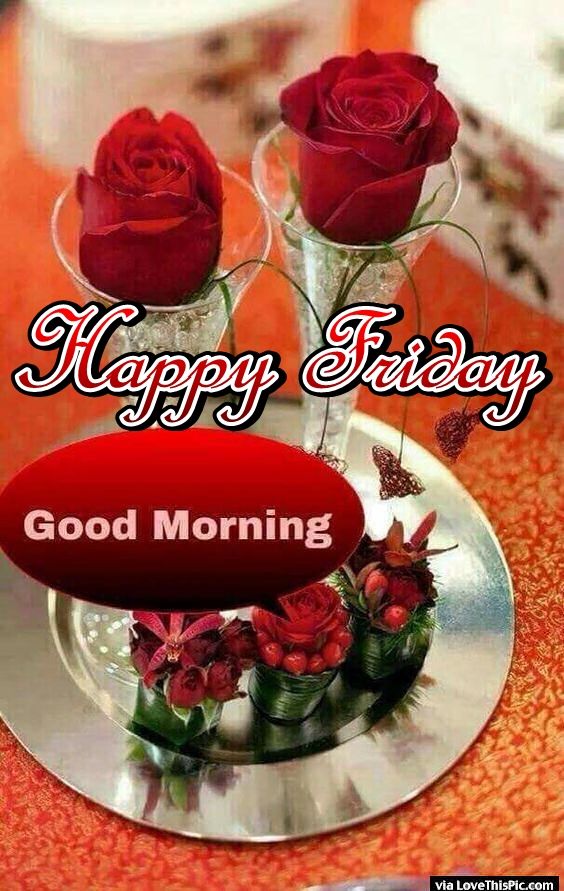 Beautiful Friday Roses Pictures, Photos, and Images for Facebook ...