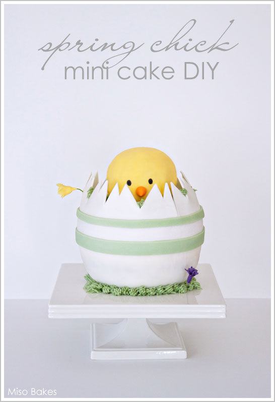 Spring Chick Mini Cake Pictures, Photos, and Images for Facebook ...