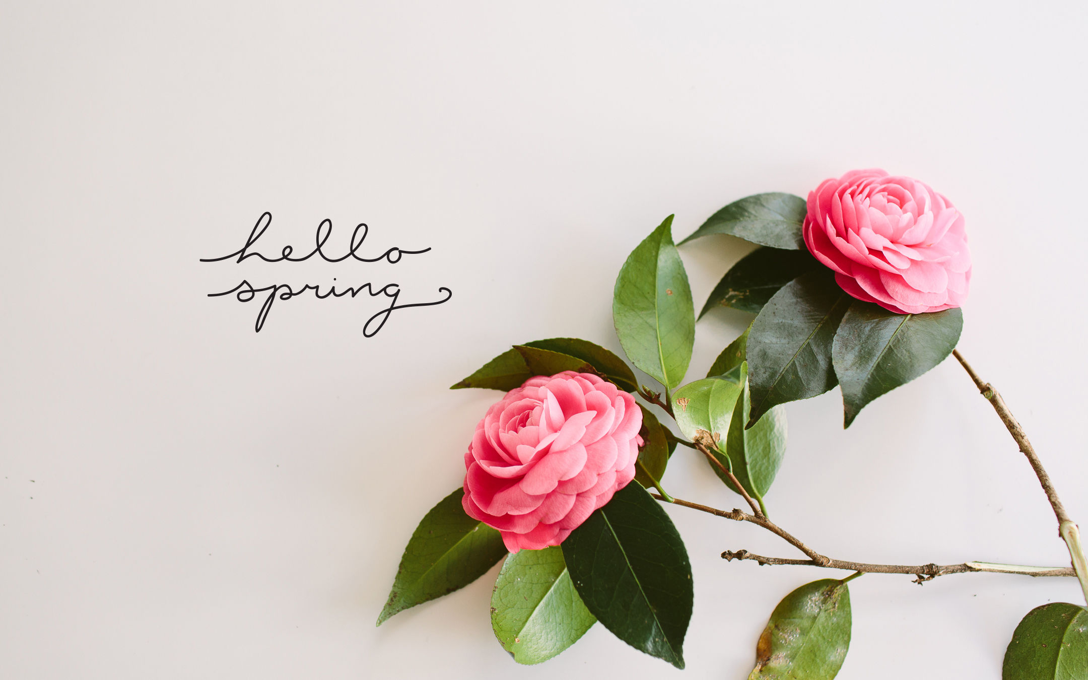 Hello Spring Pictures, Photos, and Images for Facebook, Tumblr ...