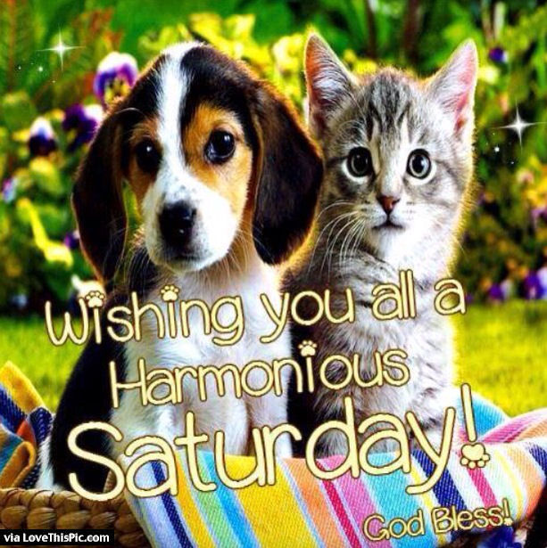 Wishing You A Harmonious Saturday Pictures, Photos, and Images for ...