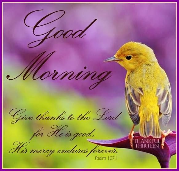 Good Morning Give Thanks To The Lord Pictures, Photos, and Images for ...