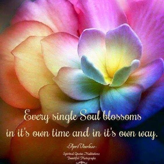 Beautiful Soul Quotes