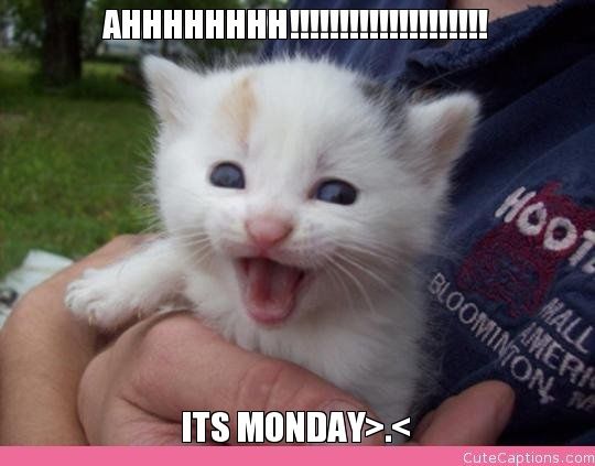 AHHHHHHHH ITS MONDAY Pictures, Photos, and Images for Facebook, Tumblr ...