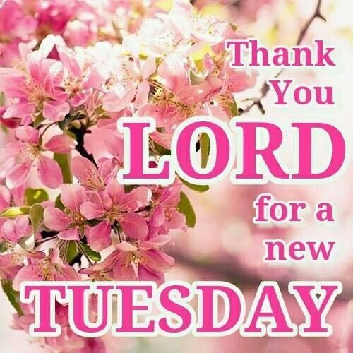 Thank You Lord For A New Tuesday Pictures, Photos, and Images for ...
