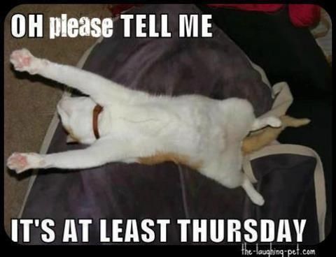 Oh Please Tell Me It's At Least Thursday Pictures, Photos, and Images ...