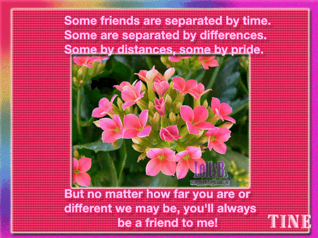 Some Friends Are Separated By Time.... Pictures, Photos, and Images for ...