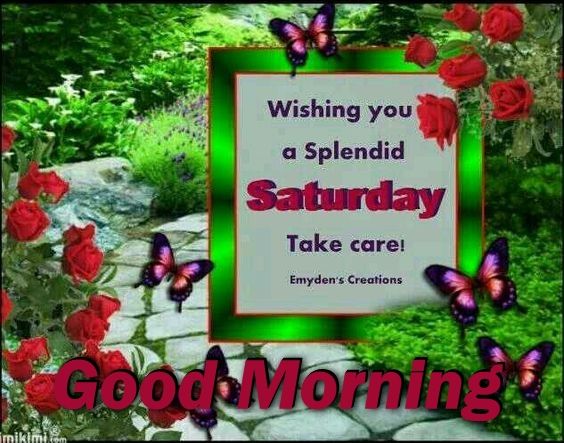 Wishing You A Splendid Saturday Good Morning Pictures, Photos, and ...