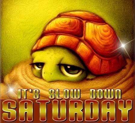 Its Slow Down Saturday Pictures, Photos, and Images for Facebook ...