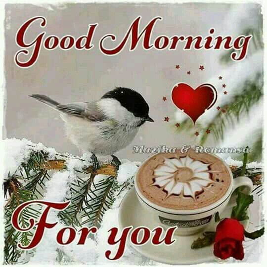 Good Morning For You Pictures, Photos, and Images for Facebook, Tumblr ...