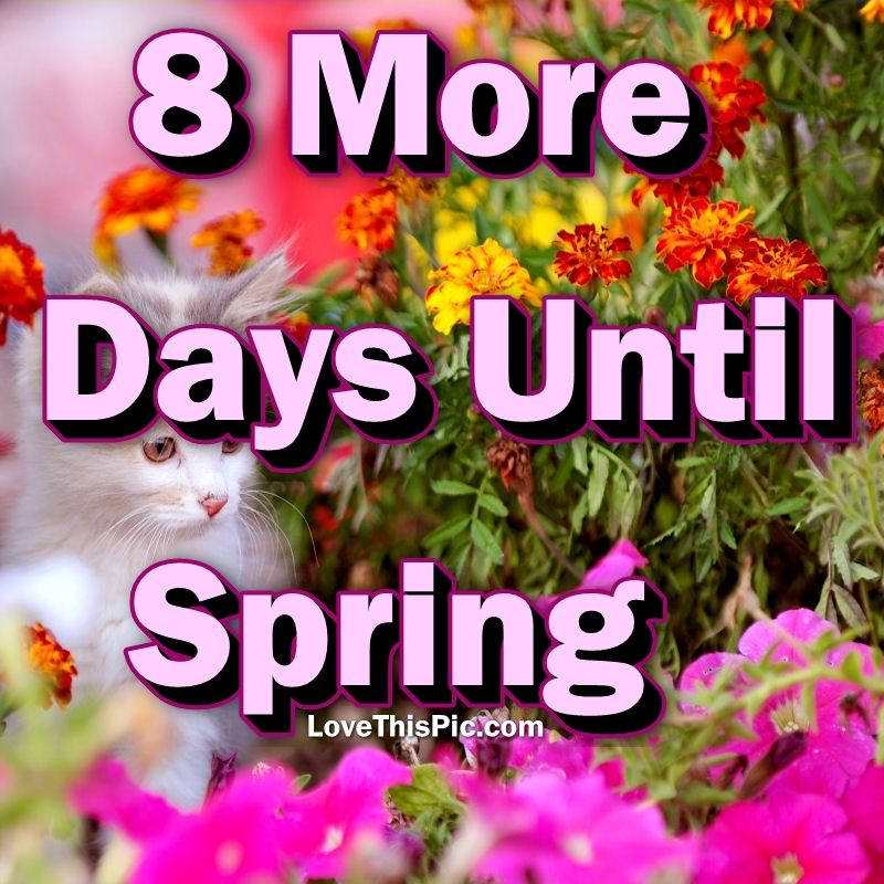 8 More Days Until Spring Pictures, Photos, and Images for Facebook ...