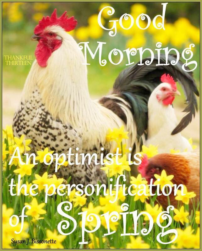 Spring Good Morning Quote Pictures, Photos, and Images for Facebook ...