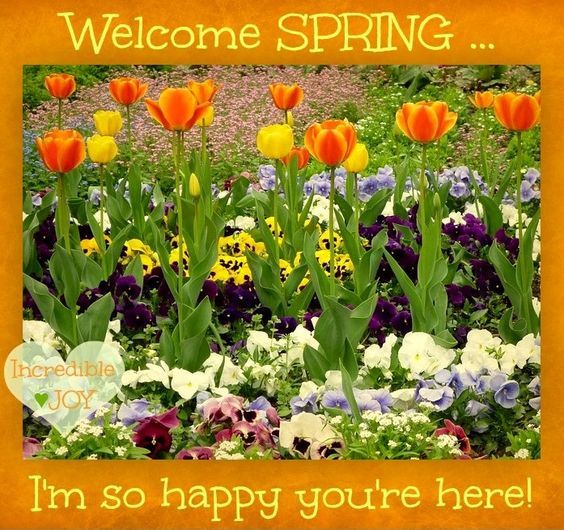 Welcome Spring, Im So Happy You're Here Pictures, Photos, and Images ...