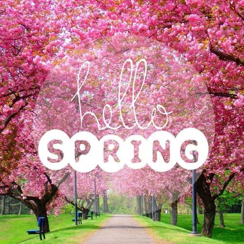 Hello Spring Pictures, Photos, and Images for Facebook, Tumblr ...