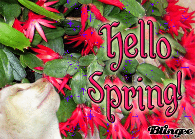 Hello Spring Pictures, Photos, and Images for Facebook, Tumblr ...