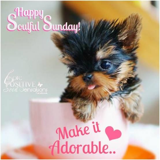 Happy Soulful Sunday Pictures, Photos, and Images for Facebook, Tumblr ...