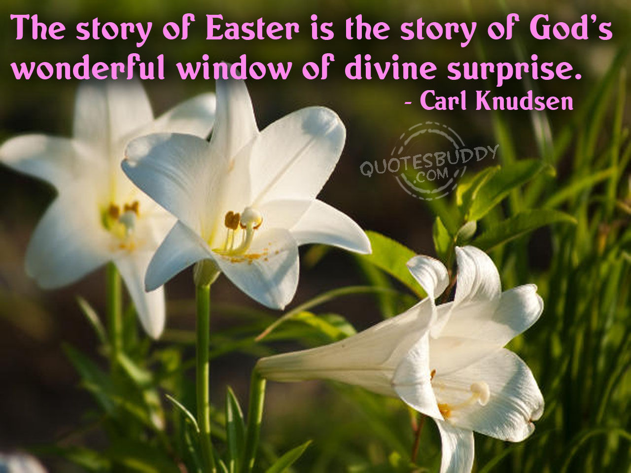 The Story Of Easter Is The Story Of God's Wonderful Window Of Divine ...