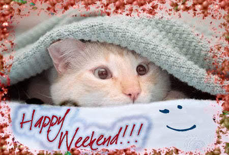 Happy Weekend Pictures, Photos, and Images for Facebook, Tumblr ...