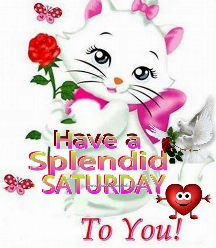 Have A Splendid Saturday Pictures, Photos, and Images for Facebook ...
