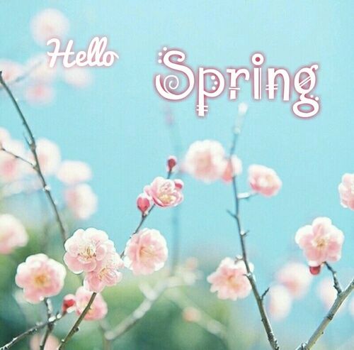 Hello Spring Pictures, Photos, and Images for Facebook, Tumblr ...