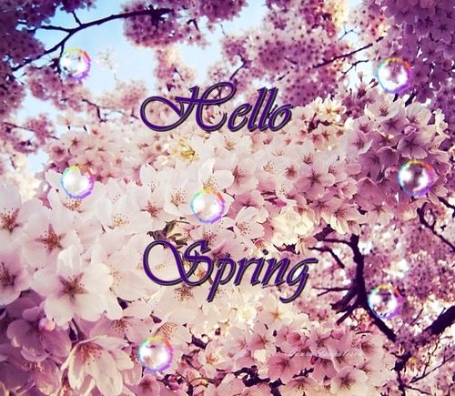 Hello Spring Pictures, Photos, and Images for Facebook, Tumblr ...