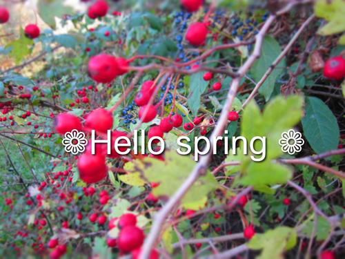 Hello Spring Pictures, Photos, and Images for Facebook, Tumblr ...