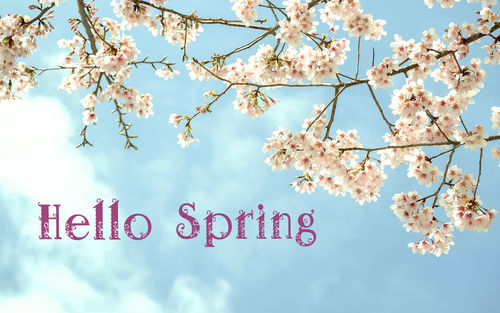 Hello Spring Pictures, Photos, and Images for Facebook, Tumblr ...