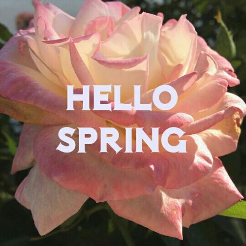 Hello Spring Pictures, Photos, and Images for Facebook, Tumblr ...