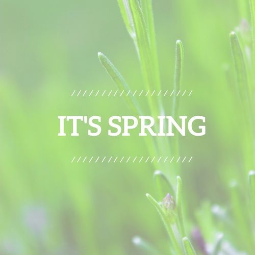 It's Spring Pictures, Photos, and Images for Facebook, Tumblr ...