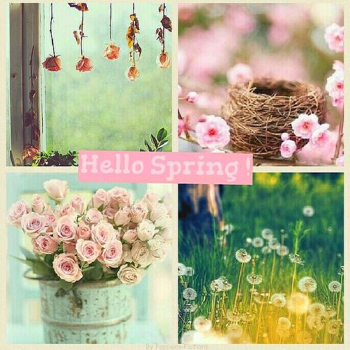 Hello Spring Pictures, Photos, and Images for Facebook, Tumblr ...
