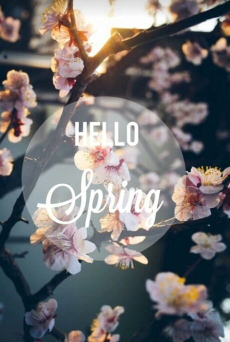 Hello Spring Pictures, Photos, and Images for Facebook, Tumblr ...
