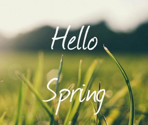 Hello Spring Pictures, Photos, and Images for Facebook, Tumblr ...