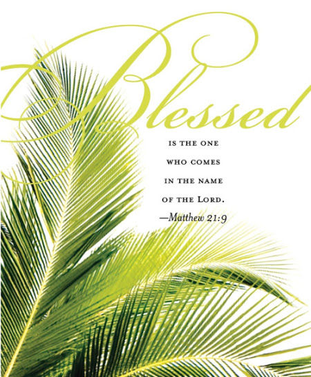 Blessed Is The One Who Came IN The Name Of The Lord Pictures, Photos ...