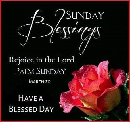 Palm Sunday Blessings Pictures, Photos, and Images for Facebook, Tumblr ...