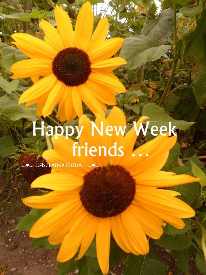 Weekdays Pictures, Photos, and Images for Facebook, Tumblr, Pinterest ...