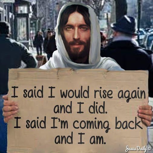 I Said I Would Rise Again And I Did. I Said I'm Coming Back And I Am ...