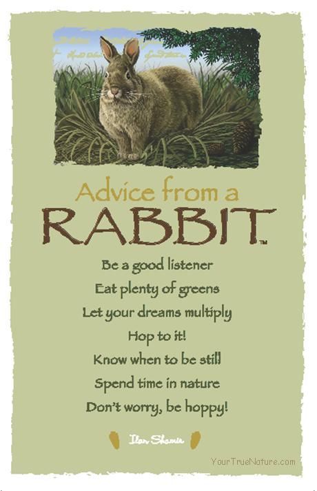 Advice From A Rabbit Pictures, Photos, and Images for Facebook, Tumblr ...