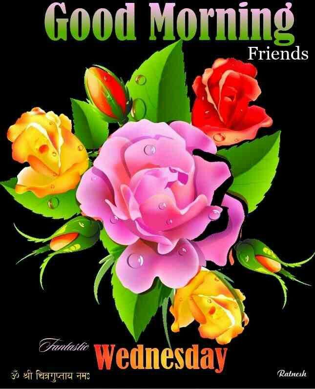 Good Morning Friends Wednesday Pictures, Photos, and Images for ...