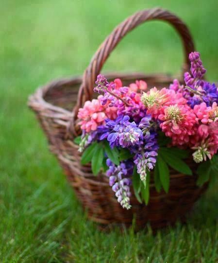 Pretty Basket Of Flowers Pictures, Photos, and Images for Facebook ...