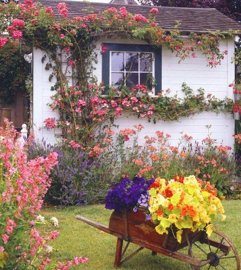 Pretty Garden Pictures, Photos, and Images for Facebook, Tumblr ...