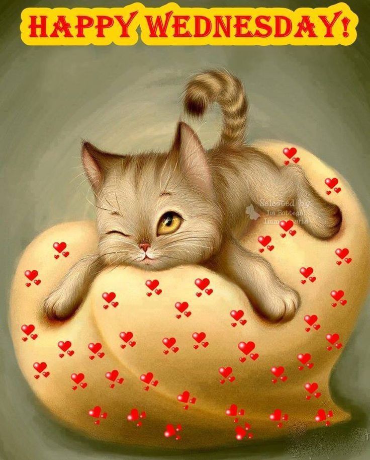 Happy Wednesday Pictures, Photos, and Images for Facebook, Tumblr ...