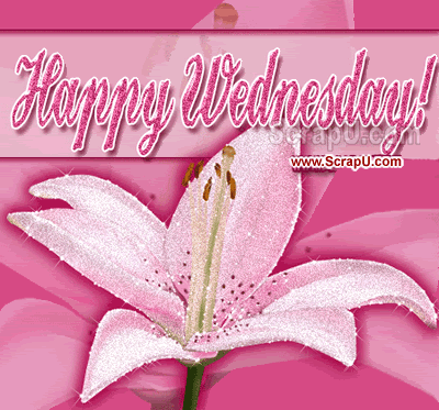 Happy Wednesday Pictures, Photos, and Images for Facebook, Tumblr ...