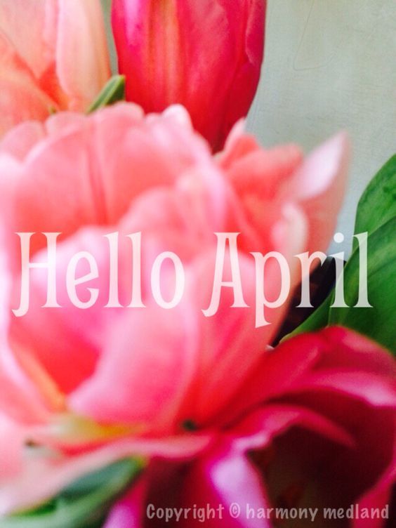 Hello April Pictures, Photos, and Images for Facebook, Tumblr ...
