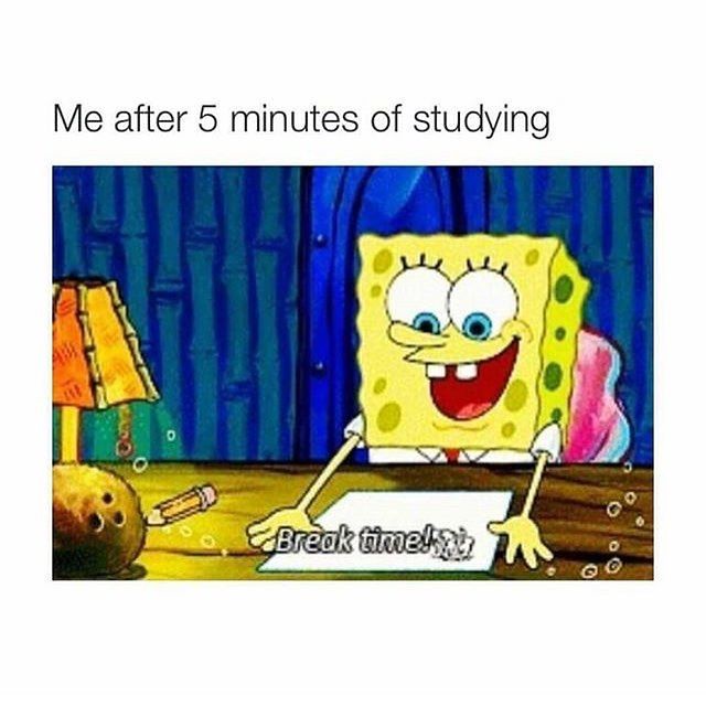 Me After 5 Minutes Of Studying Pictures, Photos, and Images for ...